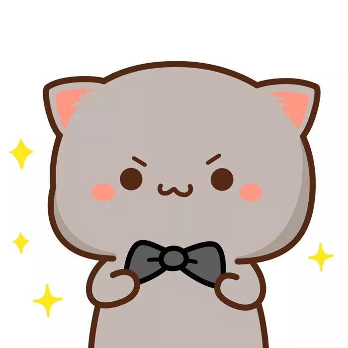 Melviz – Joyas y accesorios waterprof